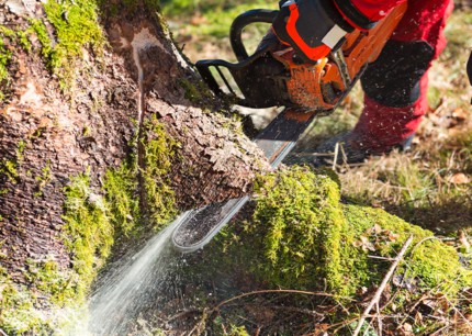 What is the world's most abrasion-resistant fabric? | Kozane® Protection